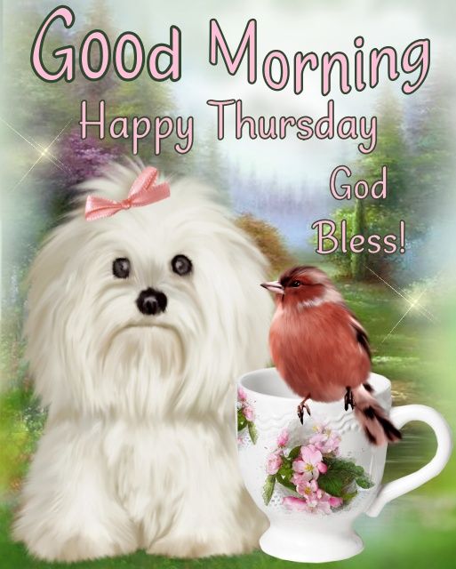 Cute White Dog & Cute Birdy - Good Morning, Happy Thursday Pictures ...