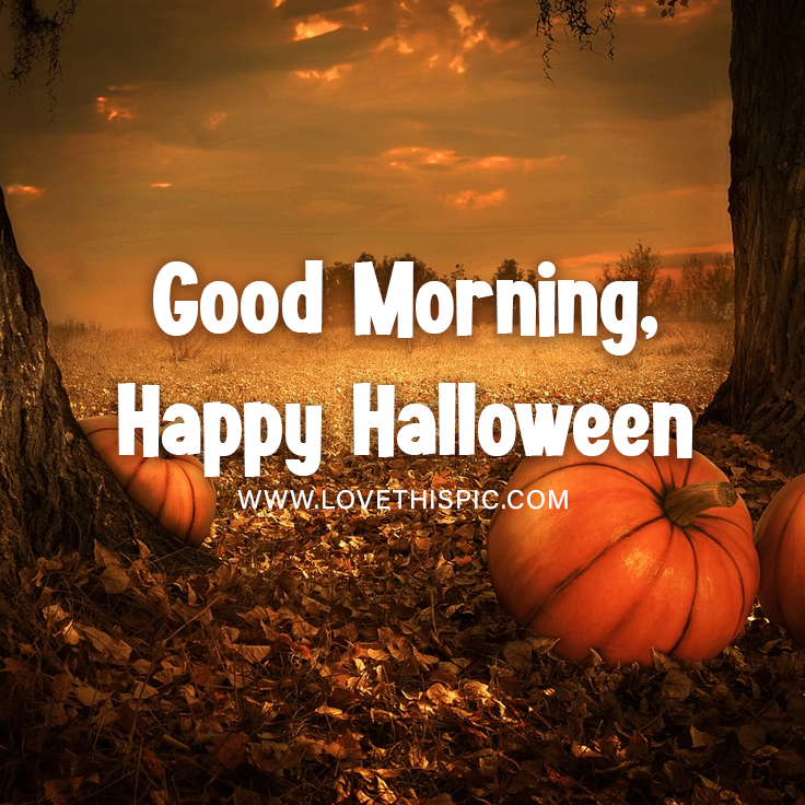 Pumpkin Near Trees - Good Morning, Happy Halloween Pictures, Photos ...