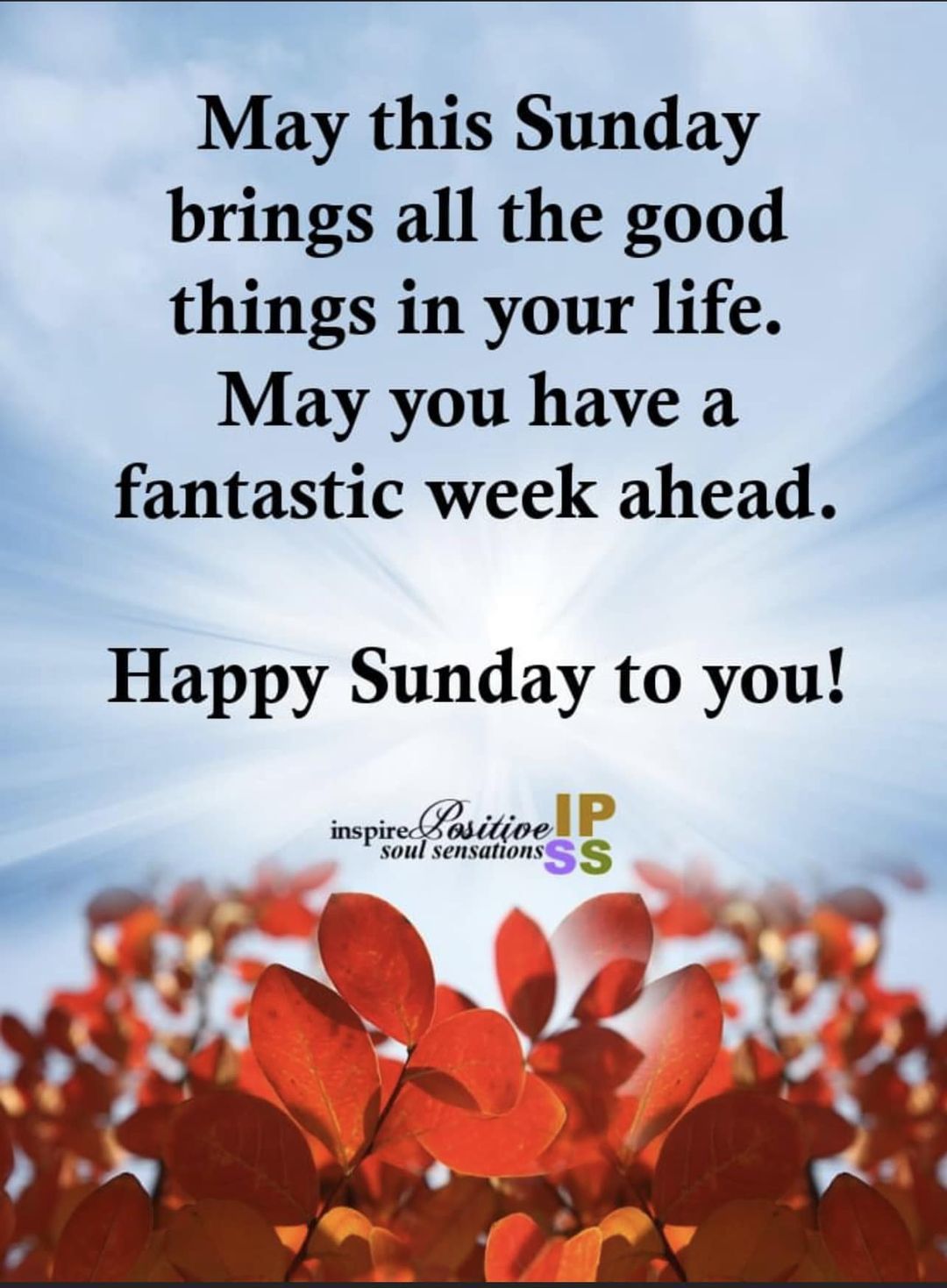 May This Sunday Brings All The Good Things In Your Life. Pictures ...