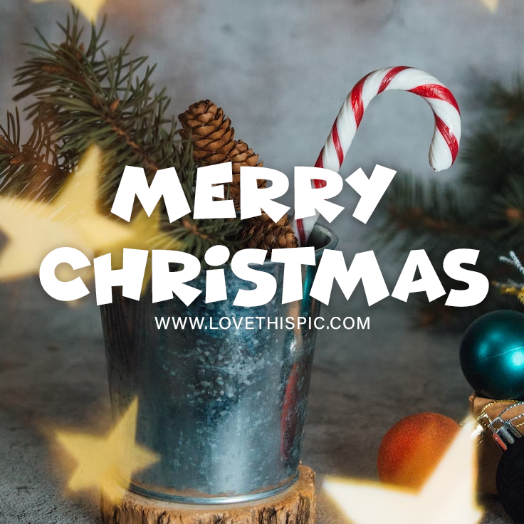 Pinecone, Candy Cone In Pail - Merry Christmas Pictures, Photos, and ...