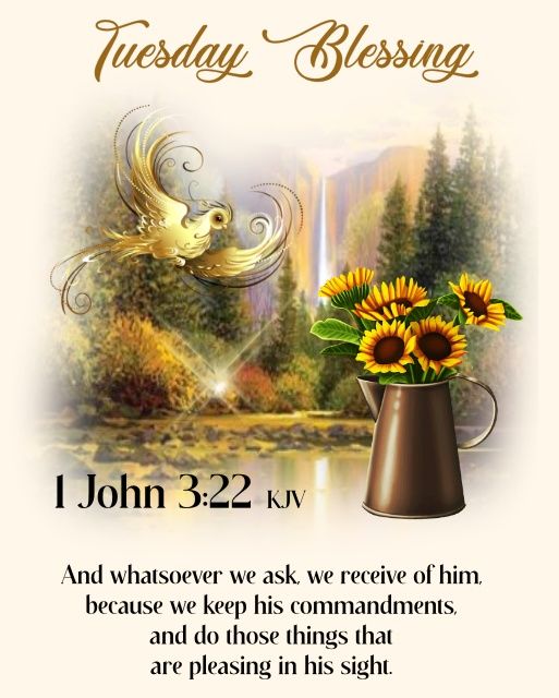 Pail Of Sunflowers & Bird - Tuesday Blessing Pictures, Photos, and ...