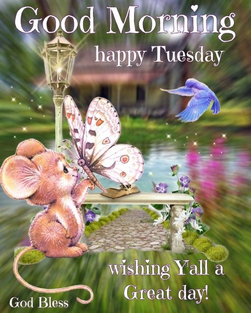 Mouse Holding Butterfly - Good Morning, Happy Tuesday Pictures, Photos ...