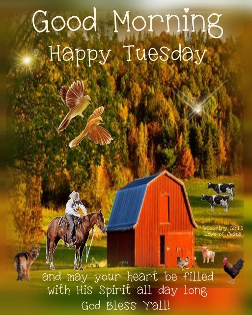 Good Morning, Happy Tuesday Pictures, Photos, and Images for Facebook ...