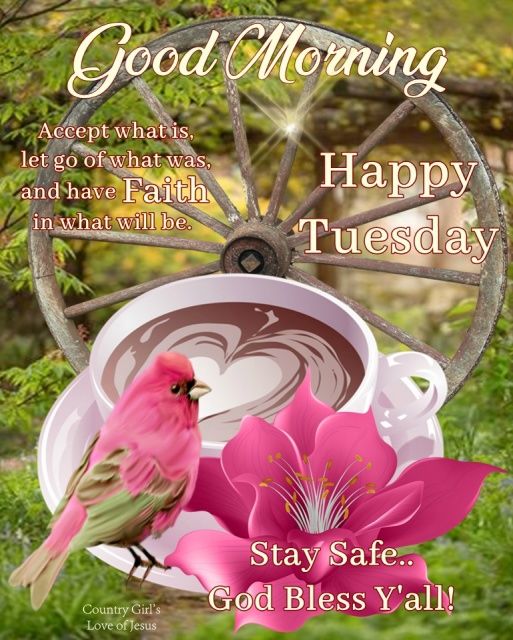 Accept What Is, Let Go Of What Was And Have Faith In What Will Be ...