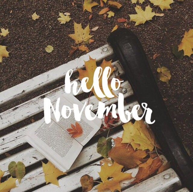Book With Leaves On Bench - Hello November Pictures, Photos, and Images ...