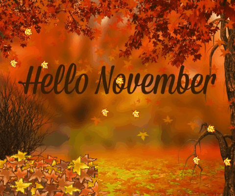 Smiling Jumping In Leaves - Hello November Gif Pictures, Photos, and ...