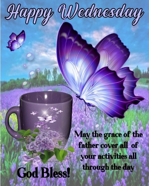 Happy Wednesday Pictures, Photos, and Images for Facebook, Tumblr ...