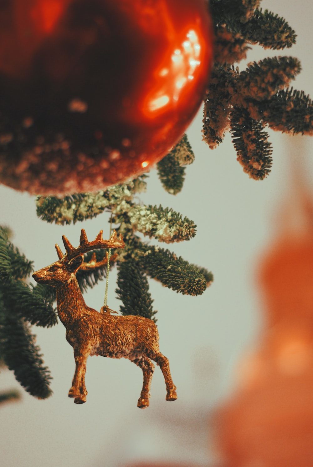 Reindeer Ornament Pictures, Photos, and Images for Facebook, Tumblr ...