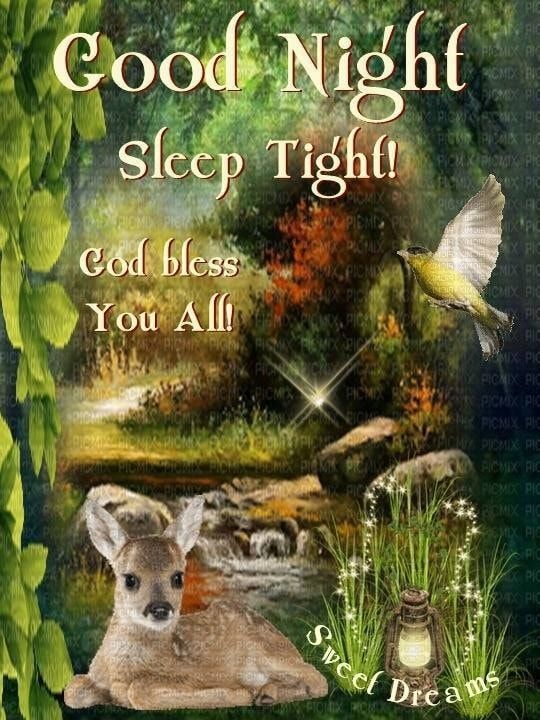 Nature Deer - Good Night, Sleep Tight! Pictures, Photos, and Images for ...