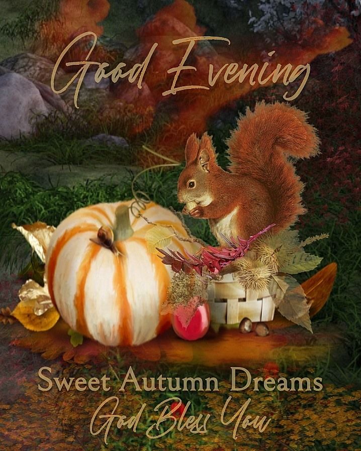 Sweet Autumn Dreams, Good Evening Pictures, Photos, and Images for ...