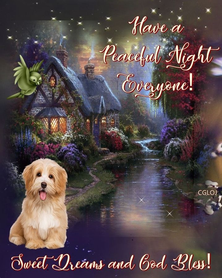 Have A Peaceful Night Pictures, Photos, and Images for Facebook, Tumblr ...