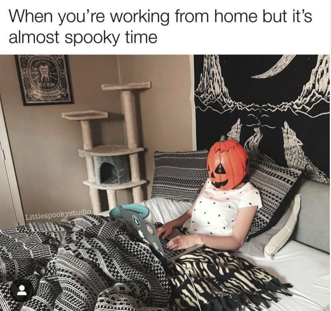 When You're Working From Home But It's Almost Spooky Time Pictures ...