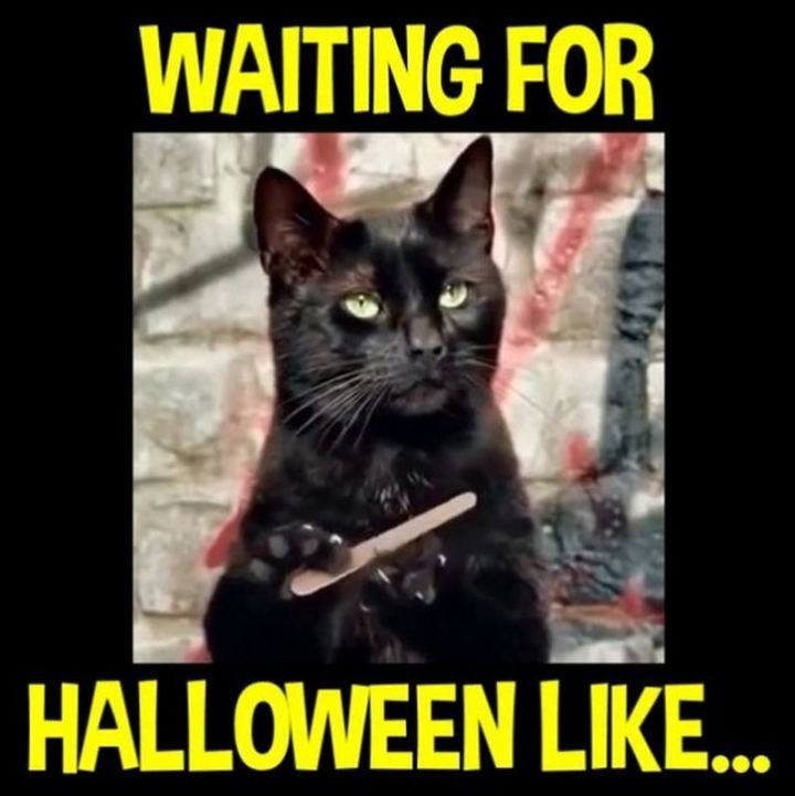 Waiting For Halloween Pictures, Photos, and Images for Facebook, Tumblr ...