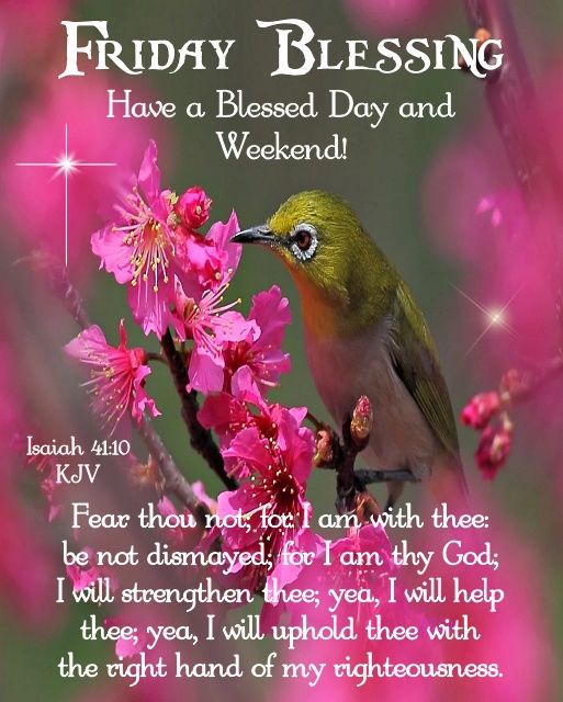 Friday Blessing: Have A Blessed Day And Weekend! Pictures, Photos, and ...