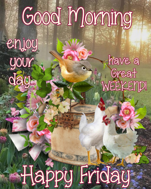 Chicken And Birdy - Good Morning, Happy Friday Pictures, Photos, and ...