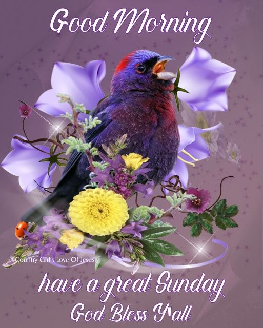 Singing Bird With Flowers - Good Morning. Have A Great Sunday Pictures ...