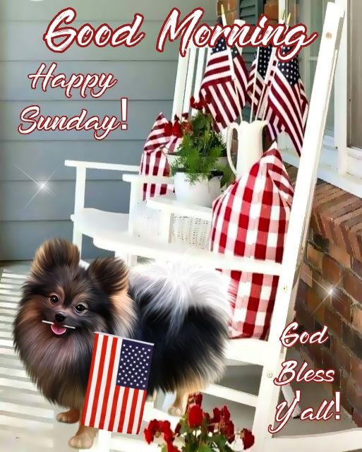 Patriotic Doggy - Good Morning Happy Sunday Pictures, Photos, and ...