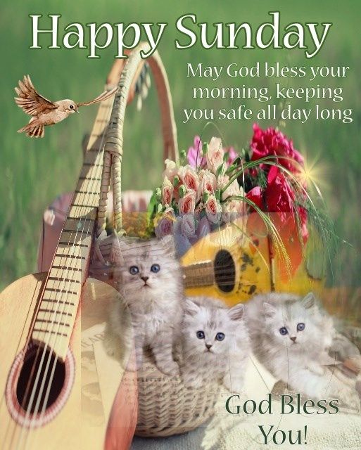 Happy Sunday. May God Bless Your Morning, Keeping You Safe All Day Long ...