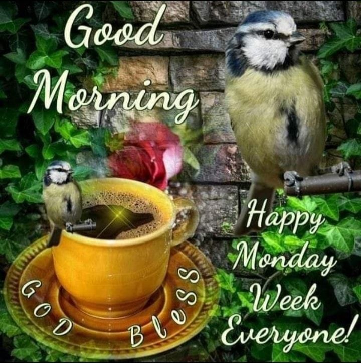 Happy Monday Week Pictures, Photos, and Images for Facebook, Tumblr ...