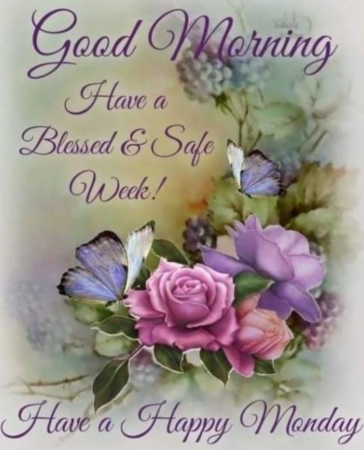 Safe, Happy Monday. Good Morning Pictures, Photos, and Images for ...