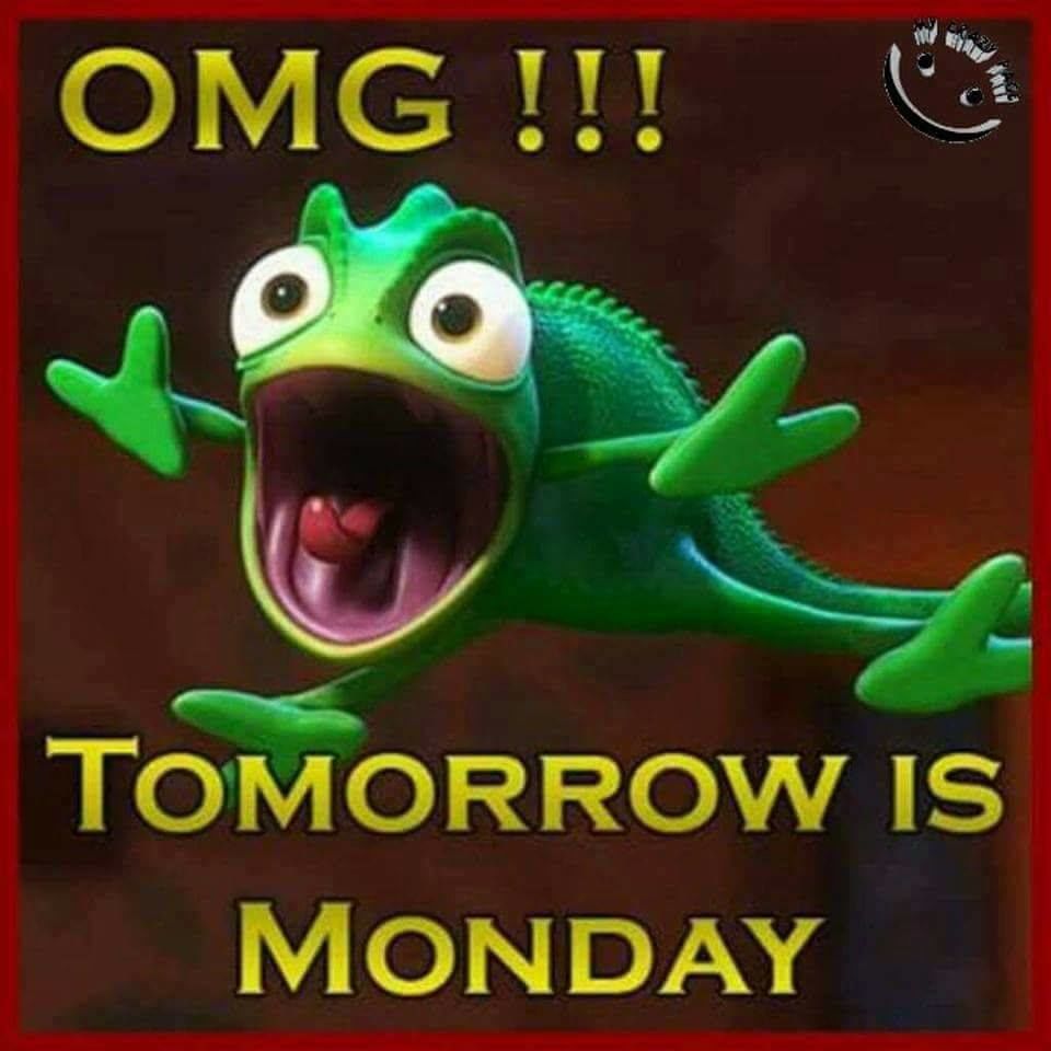 OMG! Tomorrow Is Monday Pictures, Photos, and Images for Facebook ...