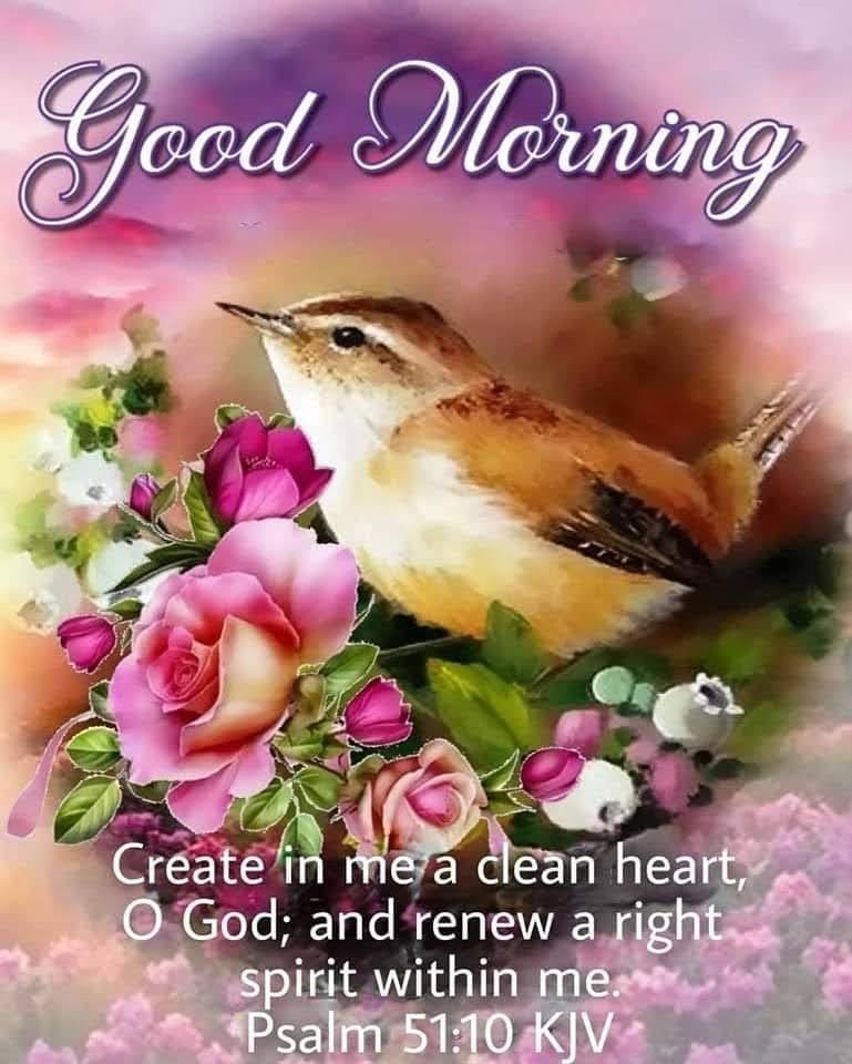 Good Morning Pictures, Photos, and Images for Facebook, Tumblr ...