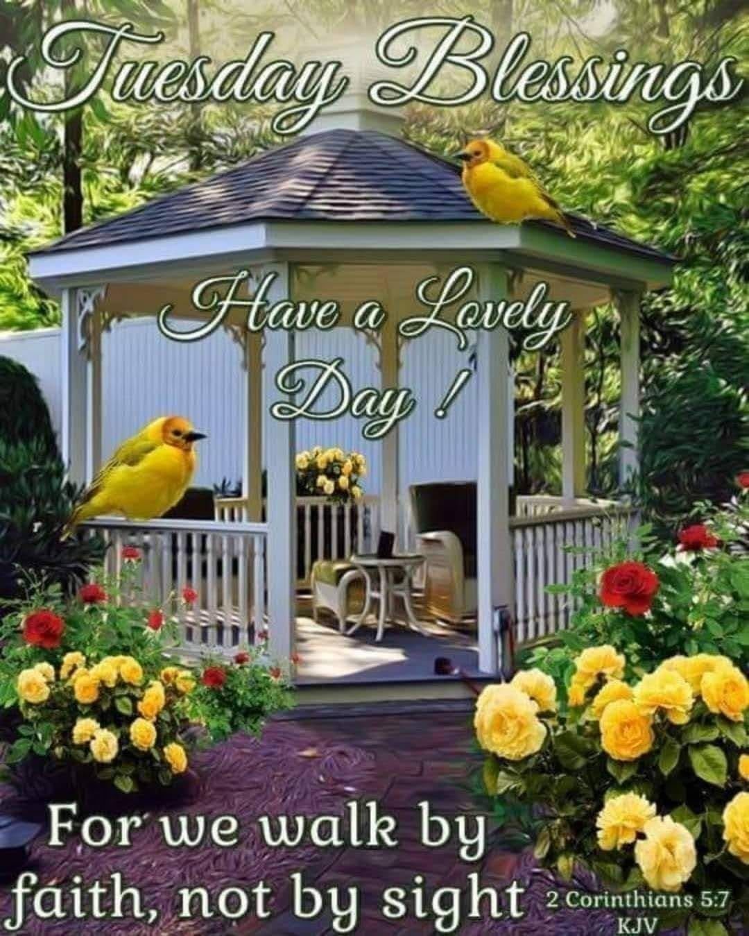 Birds In Garden - Tuesday Blessings Pictures, Photos, and Images for ...