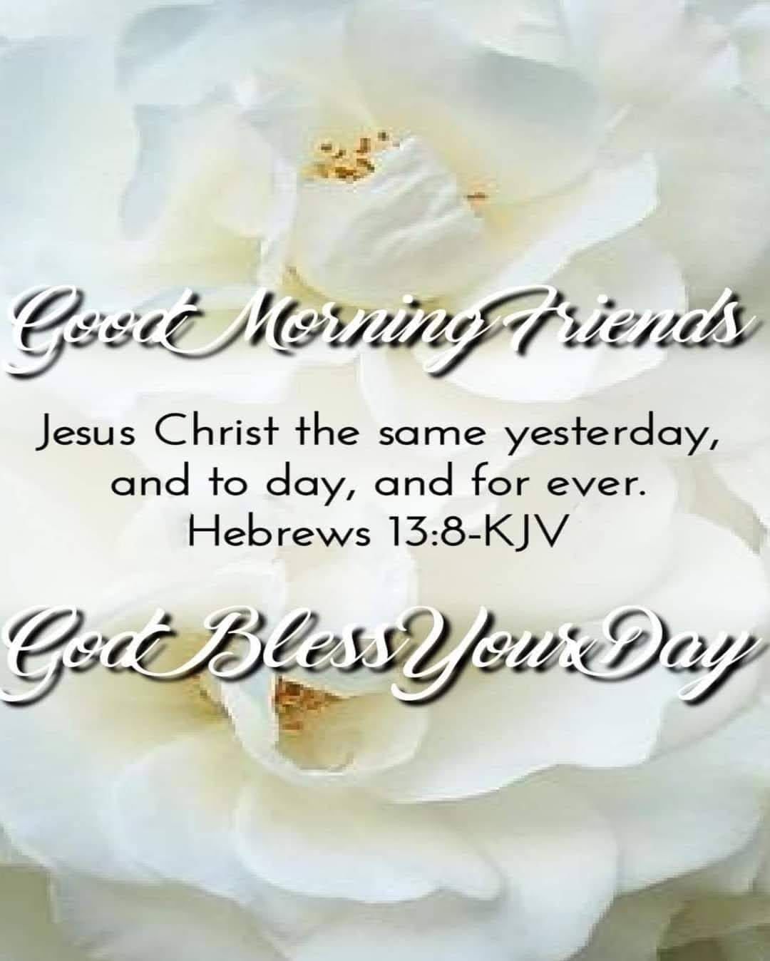 Good Morning Friends Pictures, Photos, and Images for Facebook, Tumblr ...