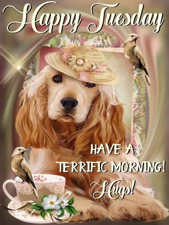 Fancy Dog - Happy Tuesday Pictures, Photos, and Images for Facebook ...