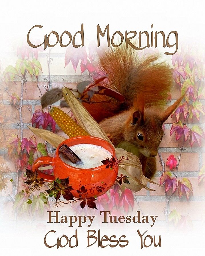 Autumn Squirrel - Good Morning, Happy Tuesday Pictures, Photos, and ...