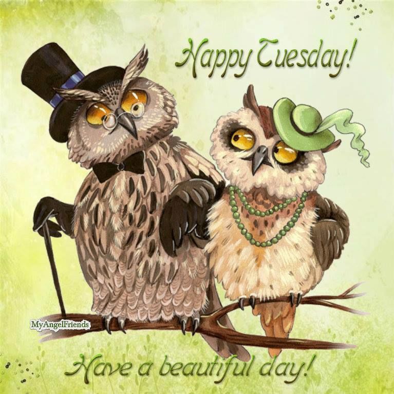 Fancy Owls - Happy Tuesday Pictures, Photos, and Images for Facebook ...