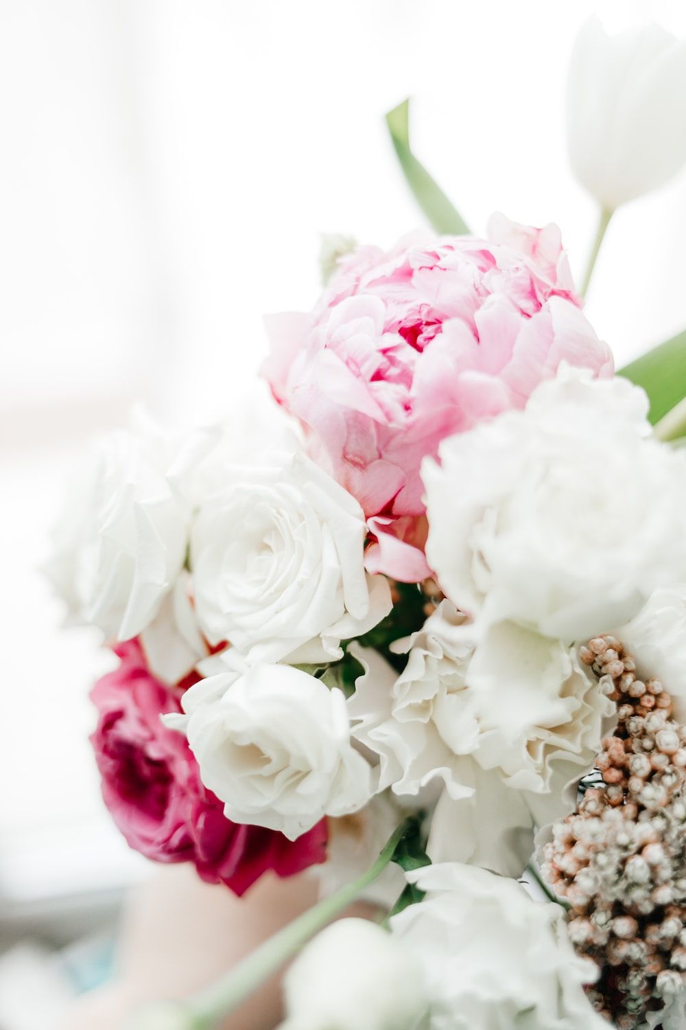 White & Pink Peonies Pictures, Photos, and Images for Facebook, Tumblr ...