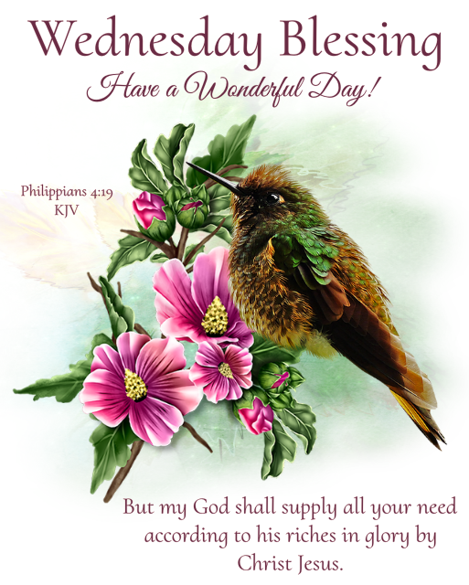 Beautiful Brown Bird And Flowers - Wednesday Blessing Pictures, Photos ...