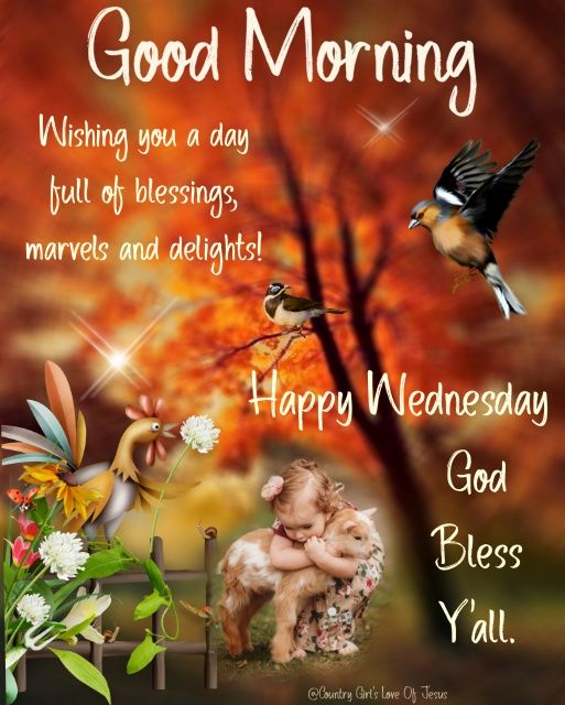 Girl Hugging Lamb - Good Morning, Happy Wednesday Pictures, Photos, and ...