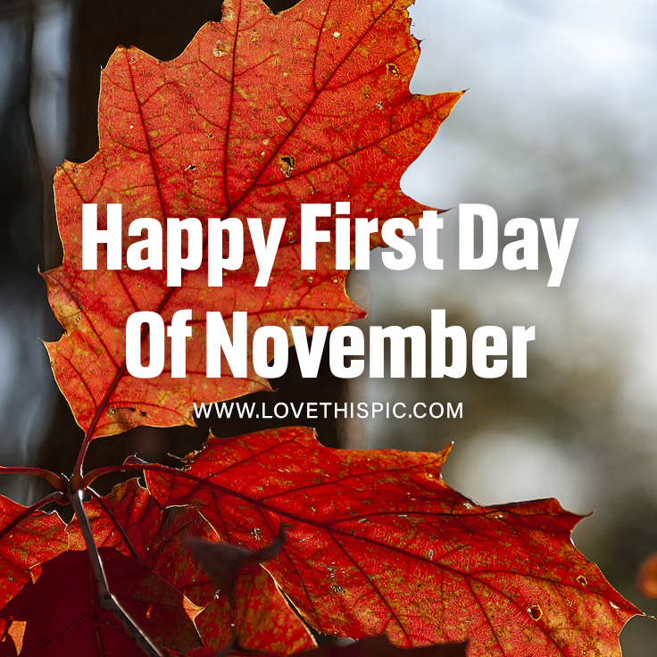 Maple Leaves - Happy First Day Of November Pictures, Photos, and Images ...