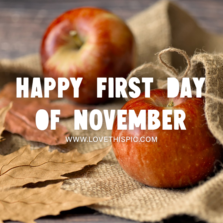 Apples Harvest - Happy First Day Of November Pictures, Photos, and ...