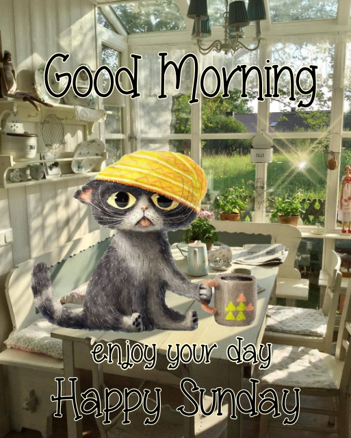 Good Morning, Enjoy Your Day. Happy Sunday Pictures, Photos, and Images ...