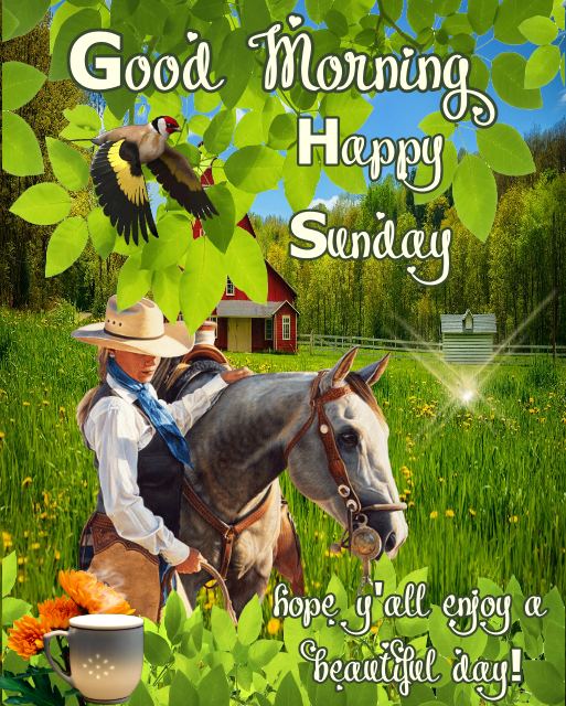 Cowgirl And Horse - Good Morning, Happy Sunday Pictures, Photos, and ...