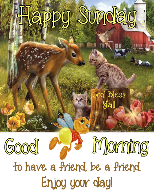 Happy Sunday Animals