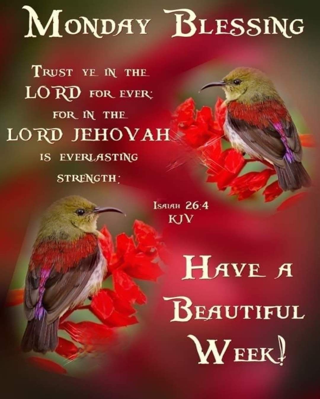 Monday Blessing: Trust In The Lord Pictures, Photos, and Images for ...