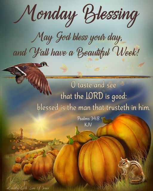 Pumpkin Patch Monday Blessing Pictures, Photos, and Images for Facebook ...