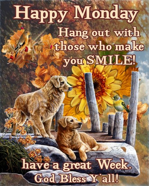 Hang Out With Those Who Make You Smile. Happy Monday Pictures, Photos ...