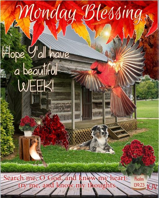 Hope Y'all Have A Beautiful Week! Pictures, Photos, and Images for ...