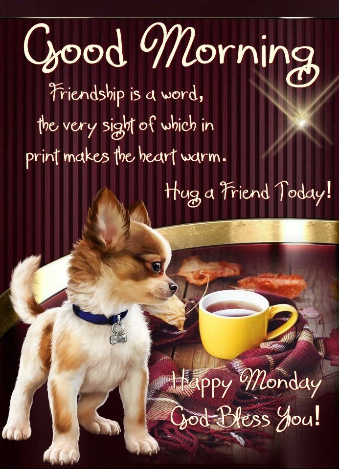 Hug A Friend Today! Good Morning, Happy Monday Pictures, Photos, and ...