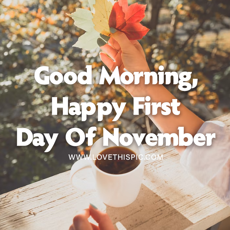 Women Holding Maple Leaves - Good Morning, Happy First Day Of November ...