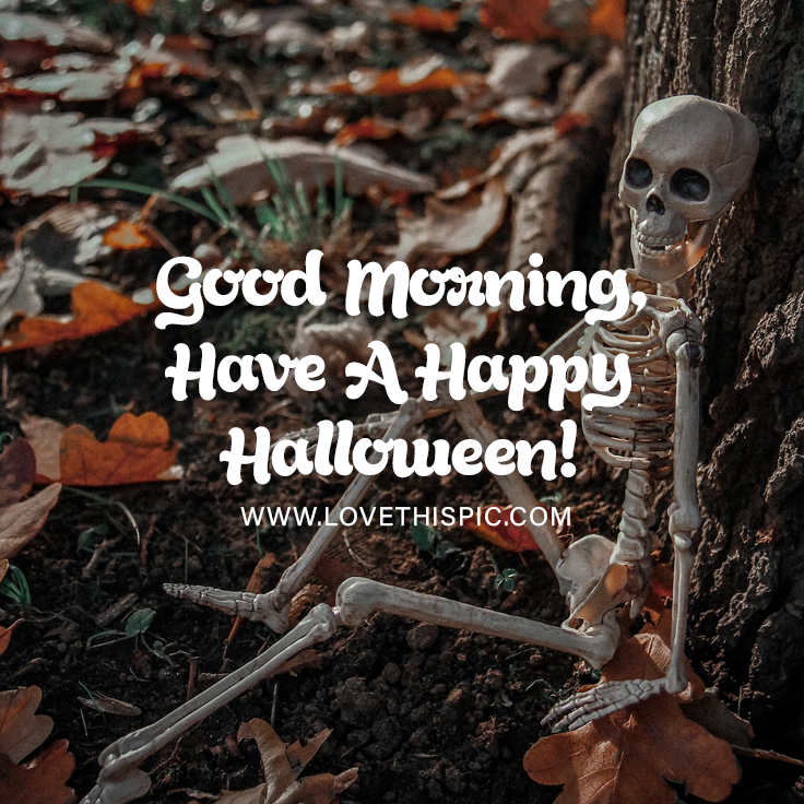 Skeleton Sitting By Tree - Good Morning, Have A Happy Halloween ...