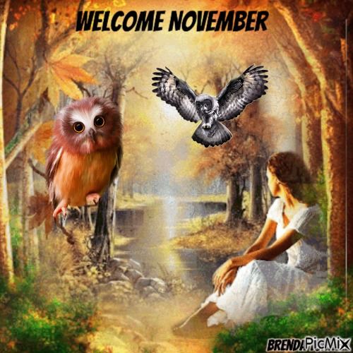 Welcome November Owls Pictures, Photos, and Images for Facebook, Tumblr ...