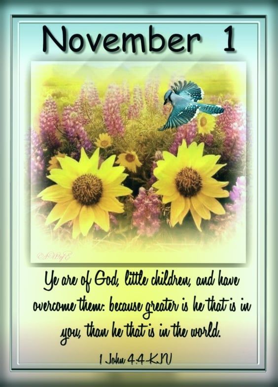 November 1 With Sunflowers Pictures, Photos, and Images for Facebook ...