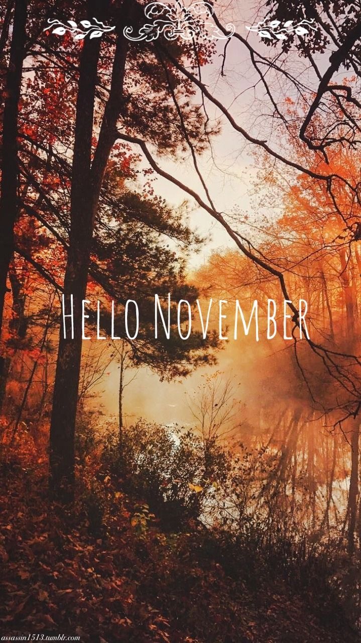 Hello November Pictures, Photos, and Images for Facebook, Tumblr ...