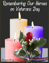 Remembering Our Heroes On Veterans Day Pictures, Photos, and Images for ...